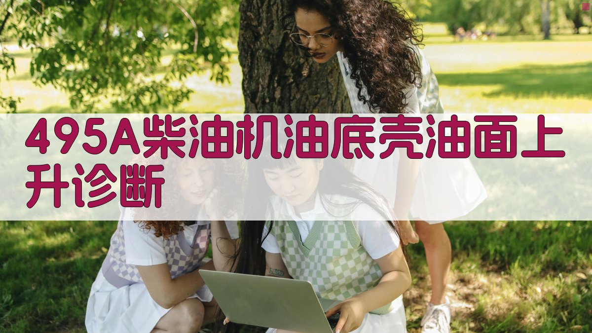 495A柴油机油底壳油面上升原因诊断工具 - 专业分析与解决方案 - 爱改写
